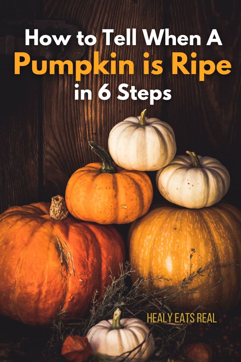 How To Tell When A Pumpkin Is Ripe In 6 Easy Steps